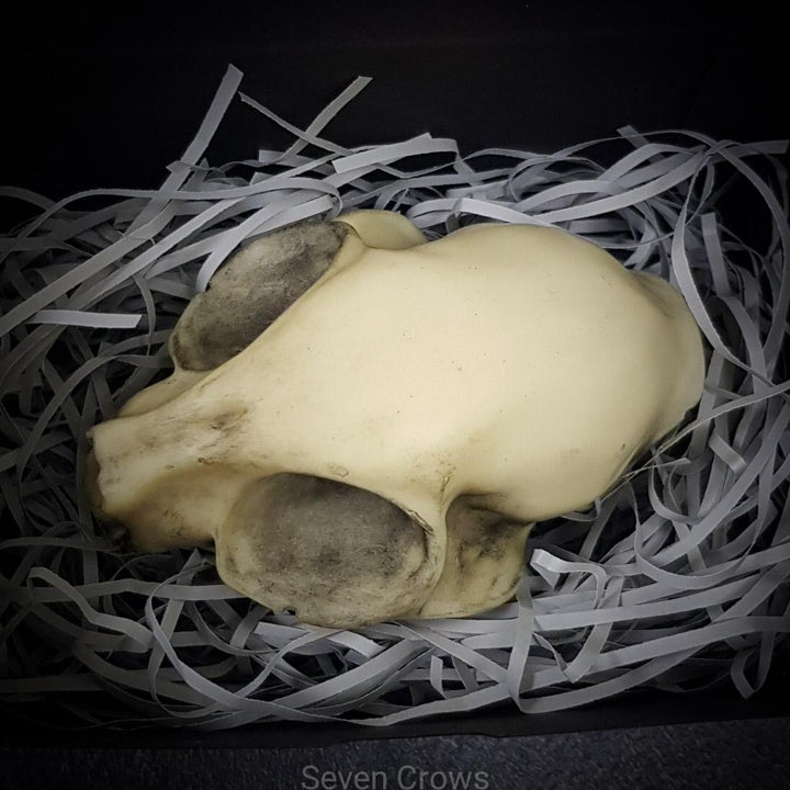 Chocolate curiosities hand crafted in the Cotswolds – Seven Crows